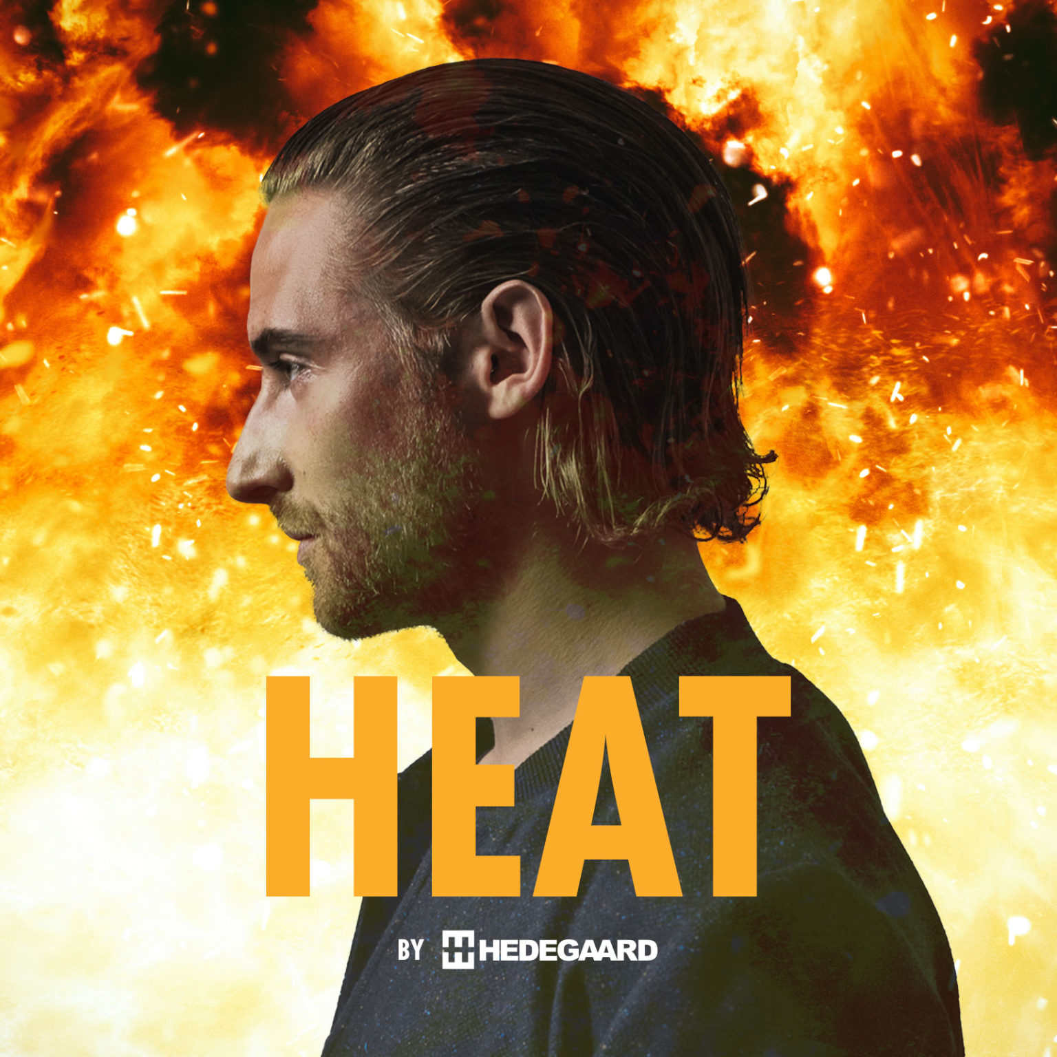 HEDEGAARD | Award winning DJ & Producer